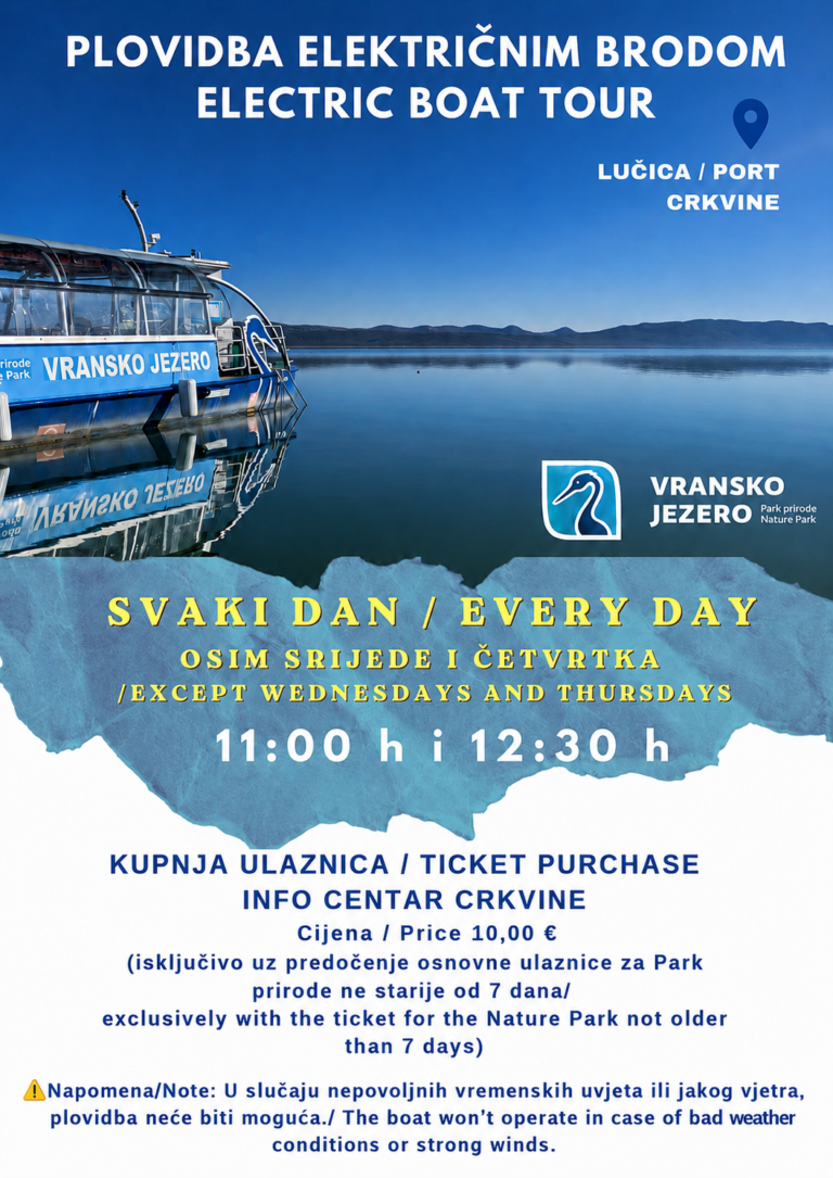 Electric Boat Begins Regular Service – Check Out Our Special Weekend ...